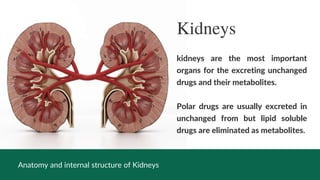 Hepatic and Renal Clearance.pptx