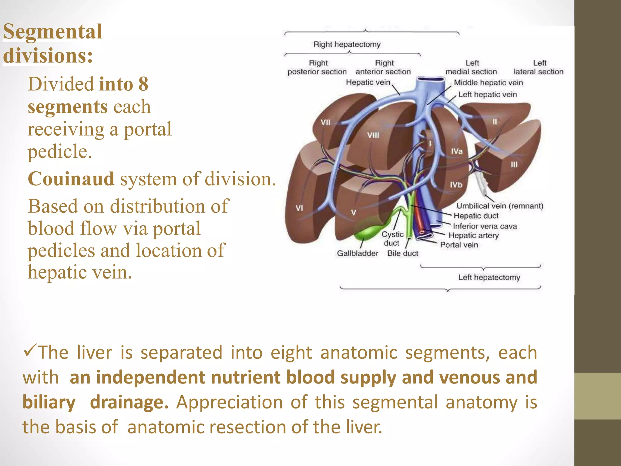 hepatic anesthesia.pptx