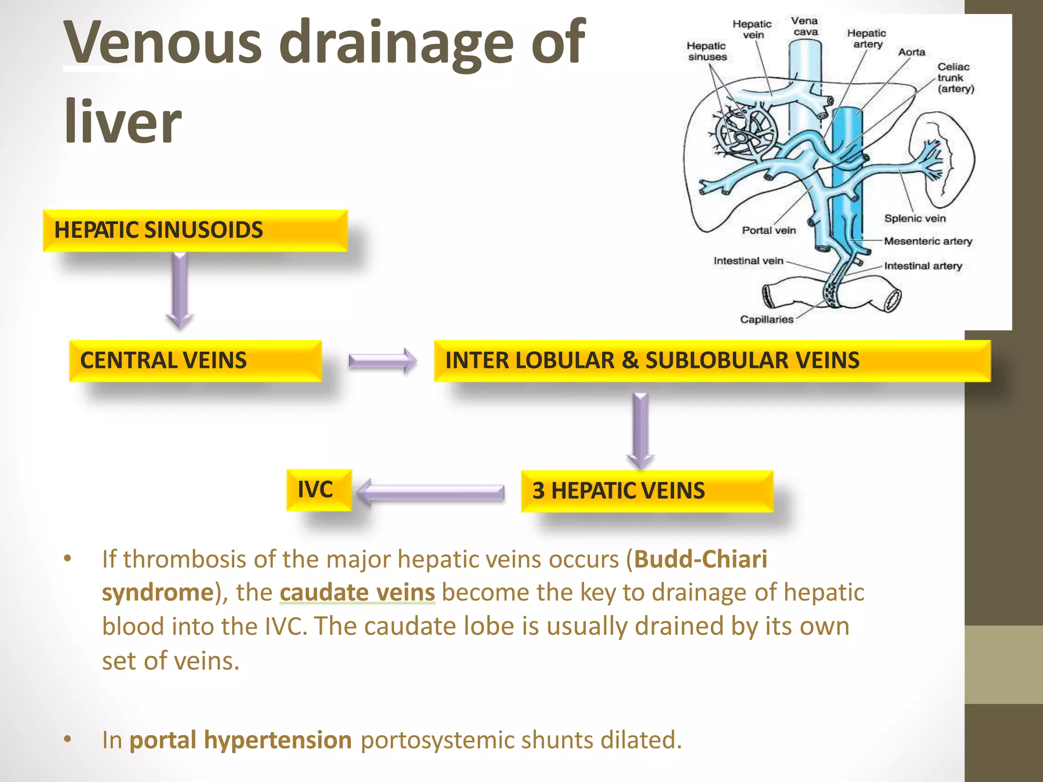hepatic anesthesia.pptx
