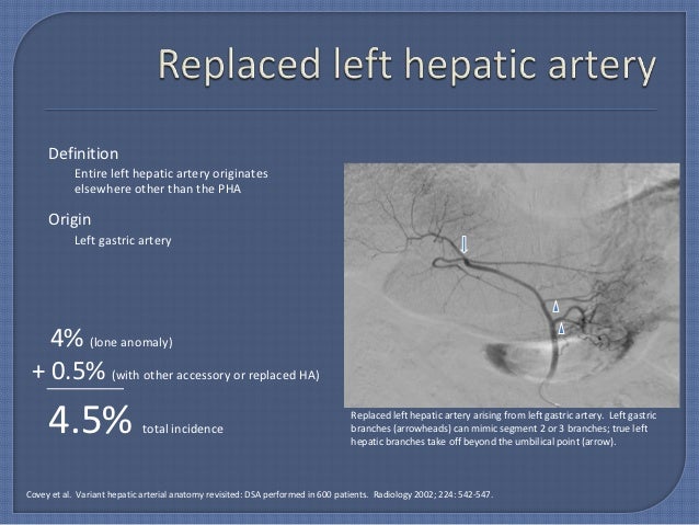 Hepatic arterial anatomy and vascular optimization final
