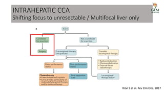 HEPATIC ARTERIAL INFUSION PUMP CHEMOTHERAPY IN HCC AND IHCC.pptx