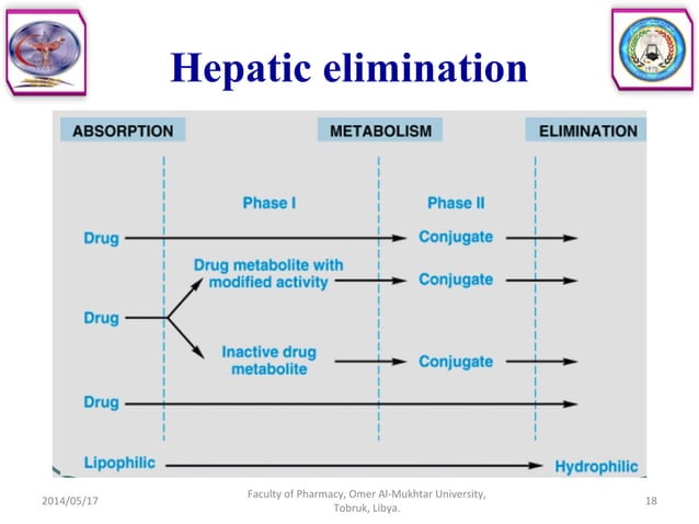 Hepatic clearance and elimination | PPT | Endocrine and Metabolic ...