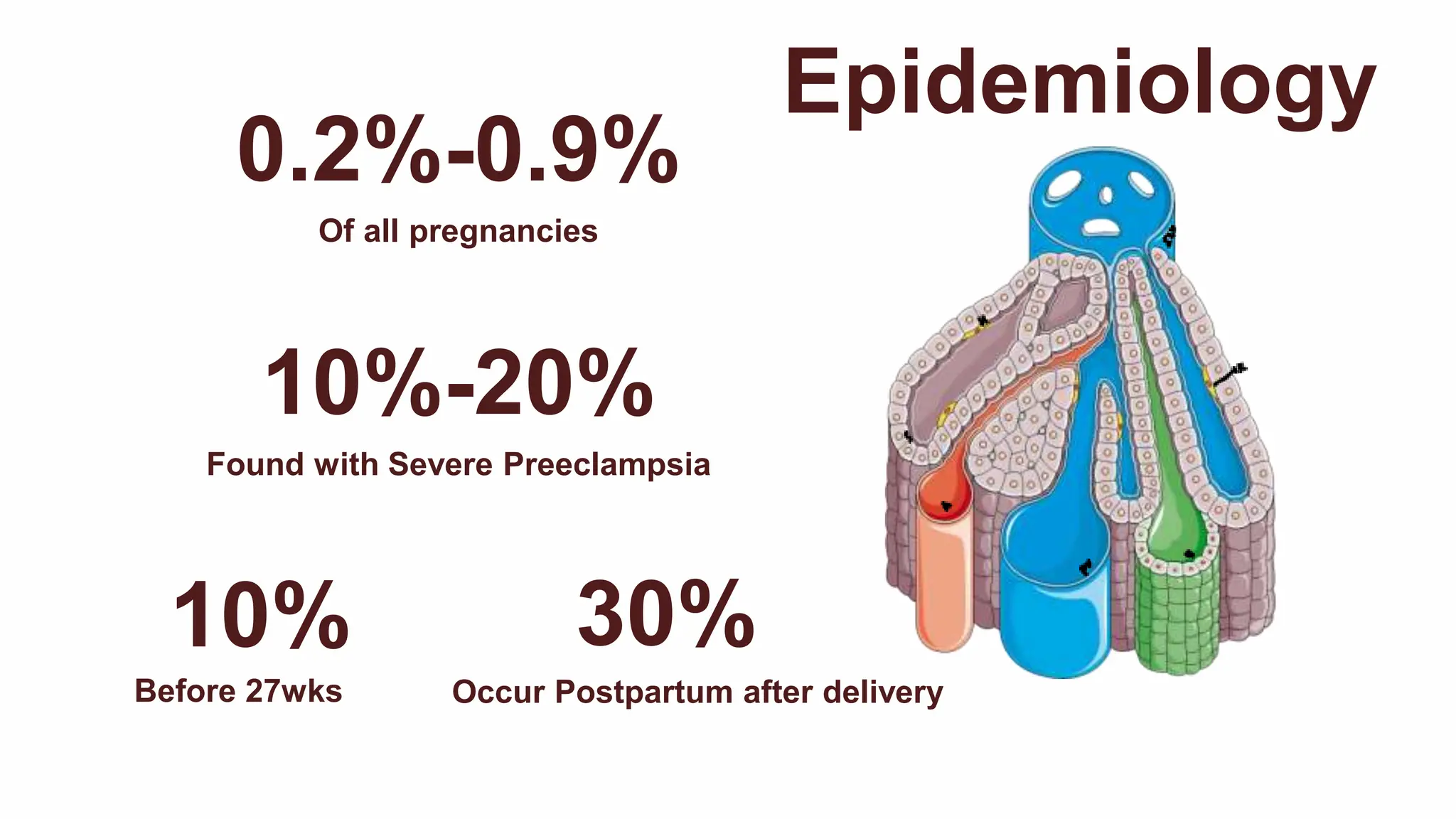 Hepatic Disorders in Pregnancy | PPTX