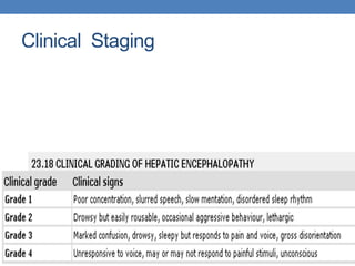 Hepatic encephalopathy | PPTX