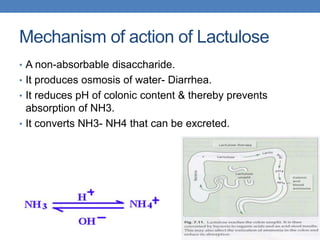 Lactulose Mechanism Of Action
