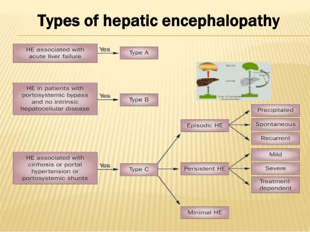 Hepatic encephalopathy