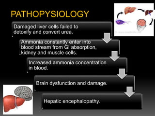 Hepatic encephalopathy | PPTX