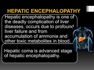 Hepatic encephalopathy | PPT | Free Download