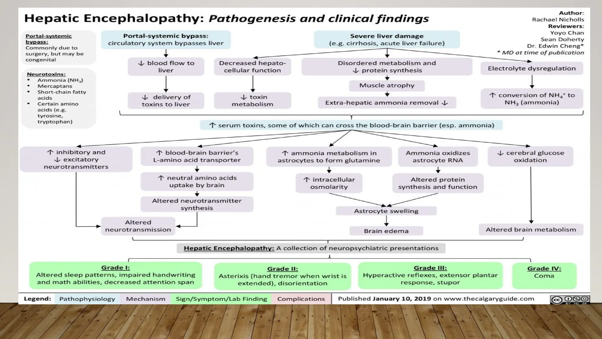 hepatic encephalopathy causes and treatment | PPTX | Blood Disorders ...