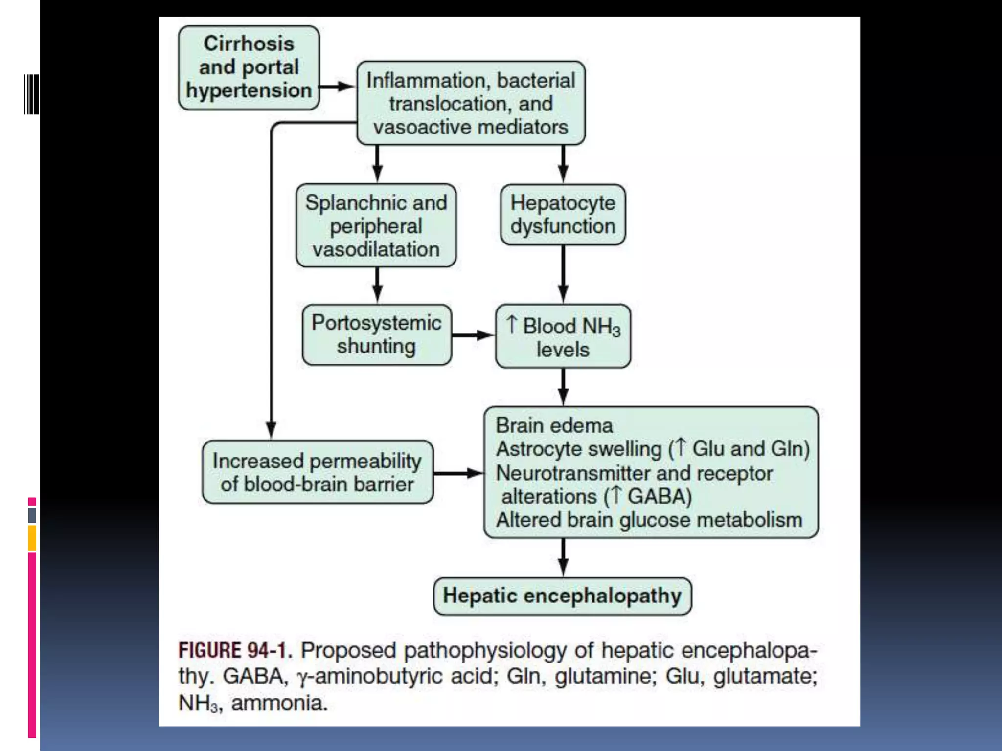 Hepatic encephalopathy | PPTX | Brain and Nervous System Disorders ...