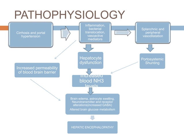 HEPATIC ENCEPHALOPATHY AND HEPATORENAL SYNDROME- DIAGNOSIS AND ...