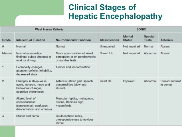 Hepatic encephalopathy final