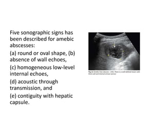 hepatic infections and inflammatory lesions VP (1).pptx