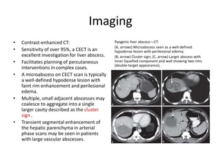 hepatic infections and inflammatory lesions VP (1).pptx