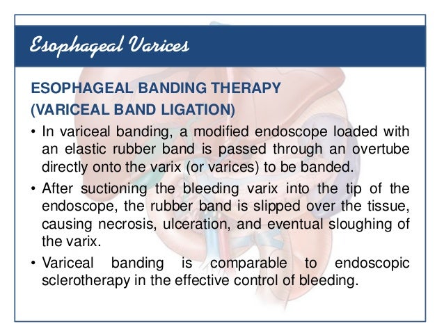 Hepatic Function Lecture