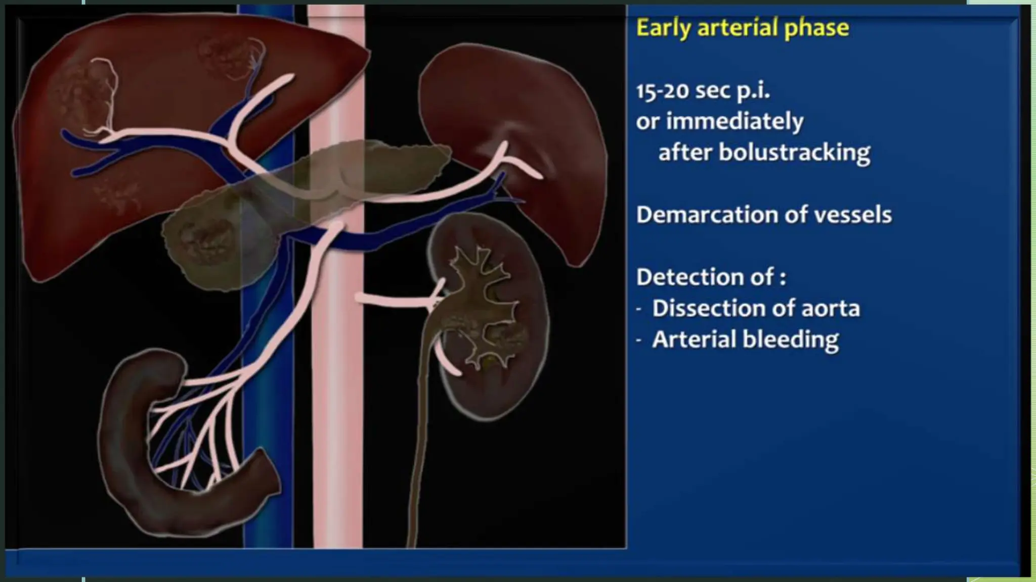 USG,CT AND MR IMAGING OF HEPATIC MASS LESIONS. | PPT