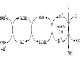 Hepatic microsome | PPTX | Endocrine and Metabolic Diseases | Diseases ...