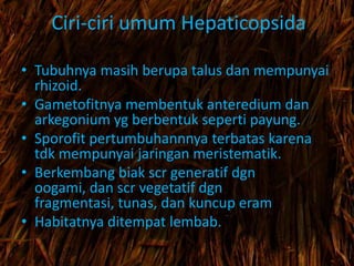 Hepaticopsida | PPTX