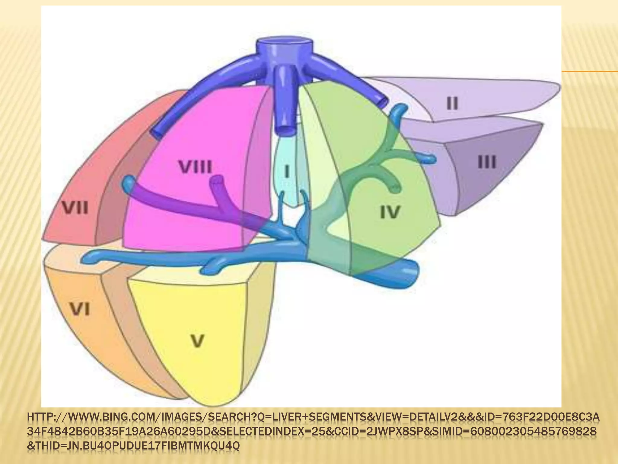 Hepatic & pancreatic tumors | PPTX
