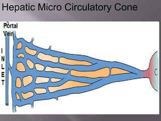 Hepatic physiology & liver function tests | PPTX