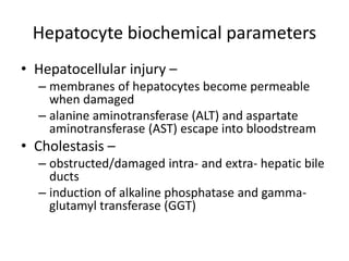 Hepatic_Physiology And Hepatic -liver Anatomy | PPT | Endocrine and ...