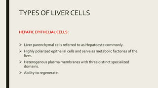 Hepatic physiology | PPTX