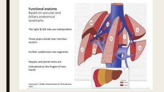 Hepatic physiology | PPTX