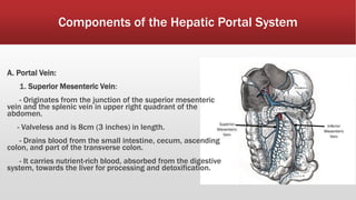 Hepatic Portal System by Dawood Ahmad.pdf