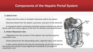 Hepatic Portal System by Dawood Ahmad.pdf