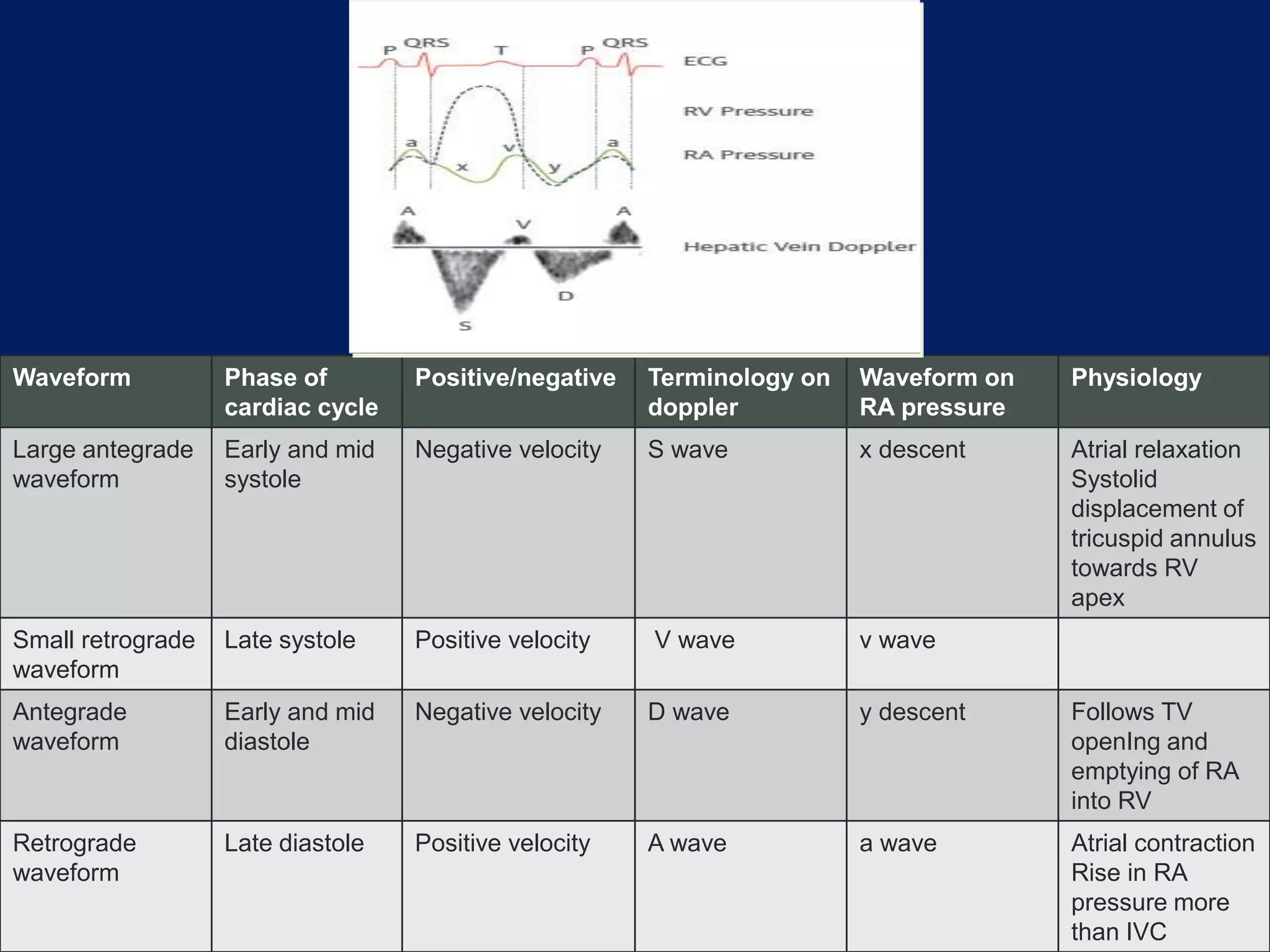 Hepatic veins - The Doppler interrogation | PPTX
