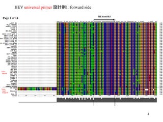 Hepatities E virus detection | PPT