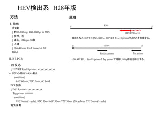 Hepatities E virus detection | PPT