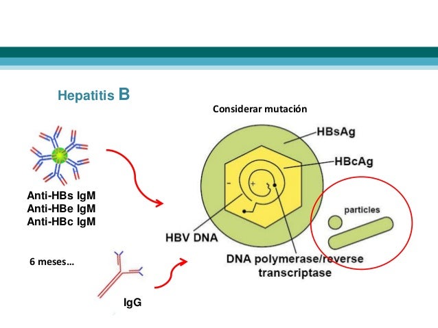 Hepatitis