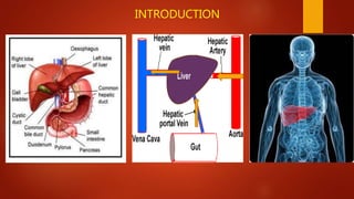 HEPATITIS | PPT