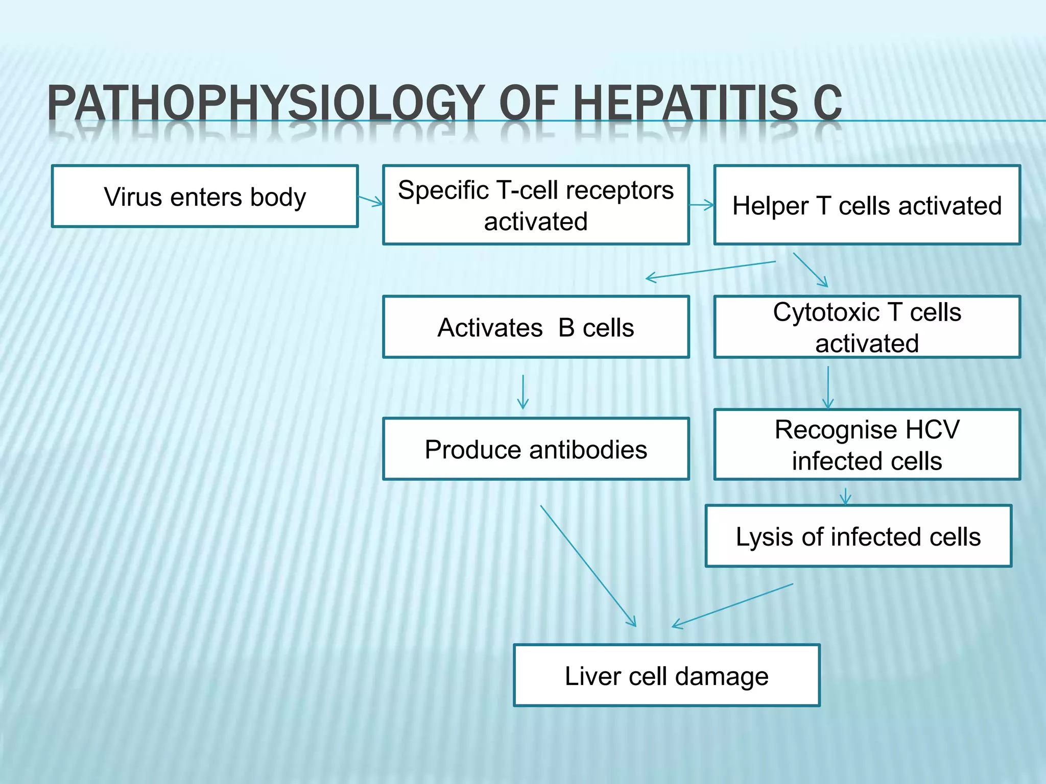 Hepatitis | PPTX