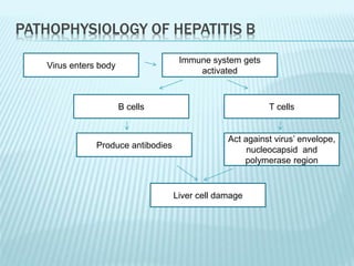 Hepatitis | PPTX