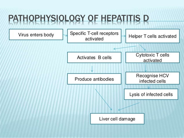 Hepatitis