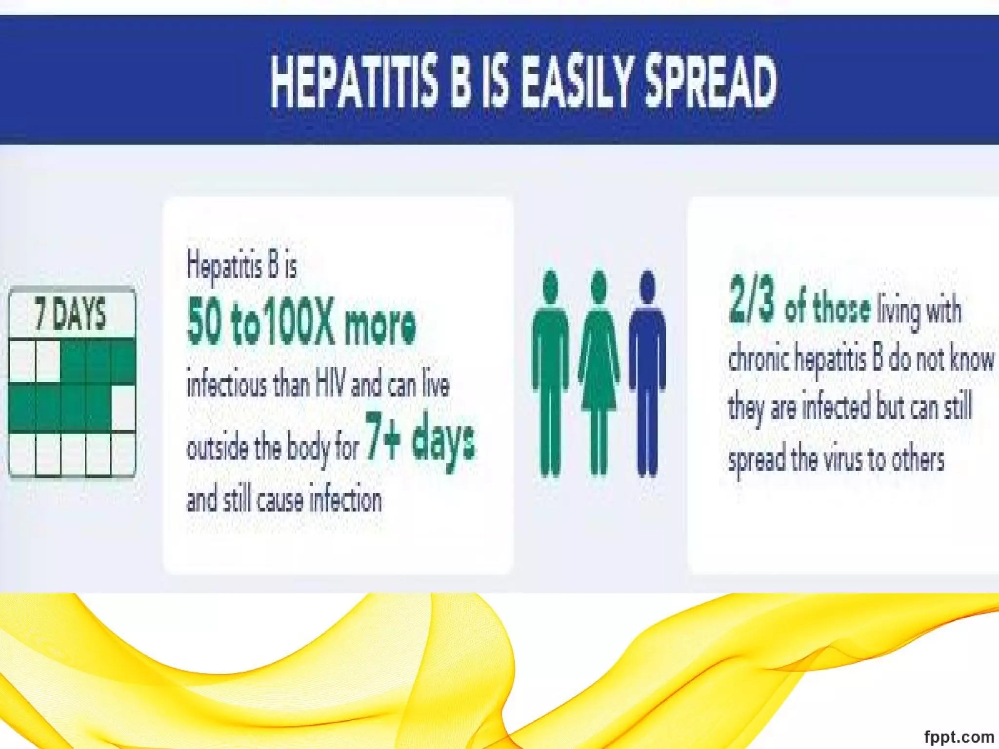 Hepatitis | PPT