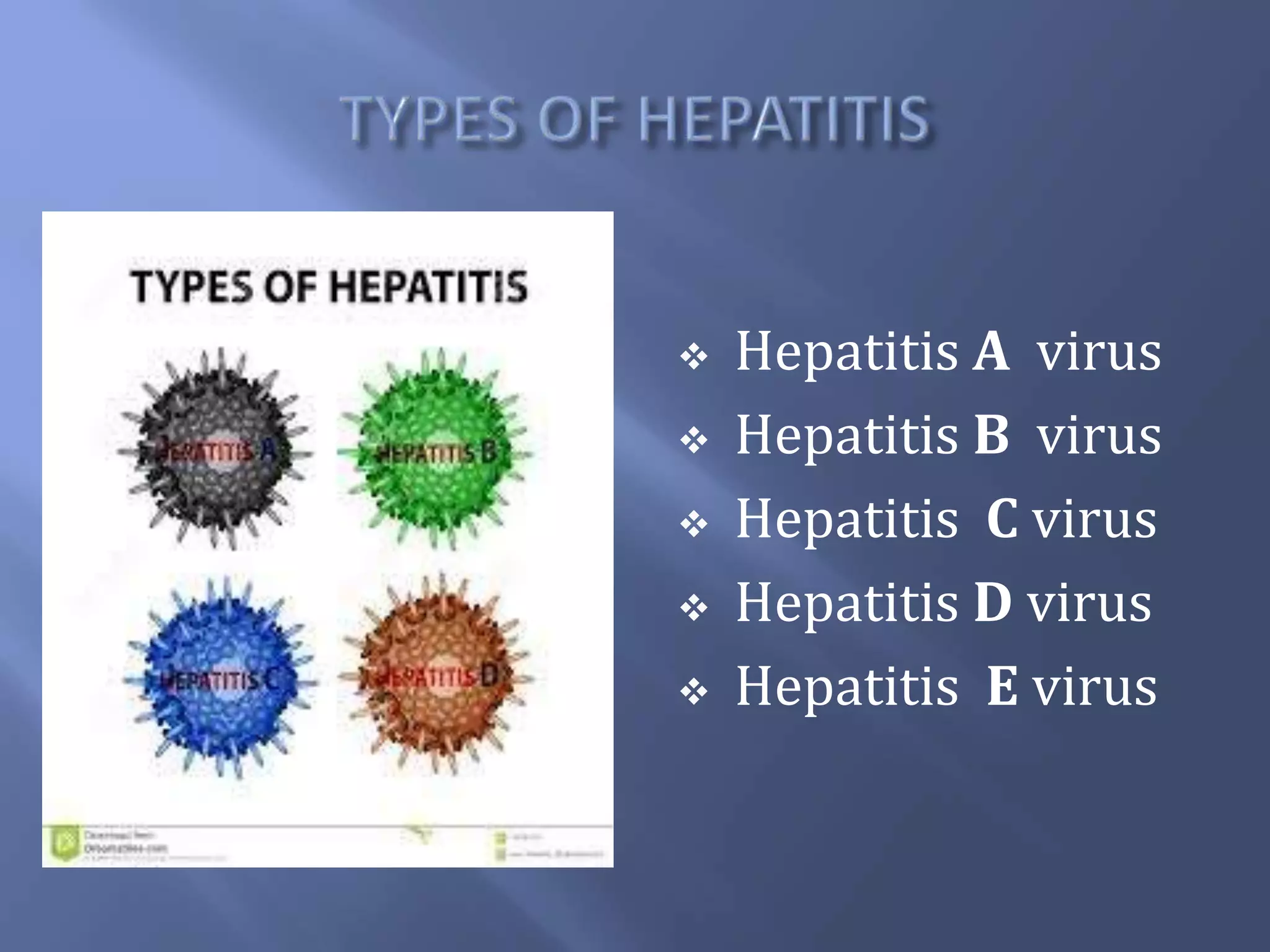 Hepatitis A & B | PPTX