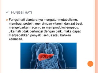 Power Point Hepatitis | PPTX