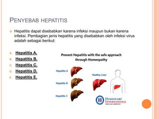 Power Point Hepatitis | PPTX
