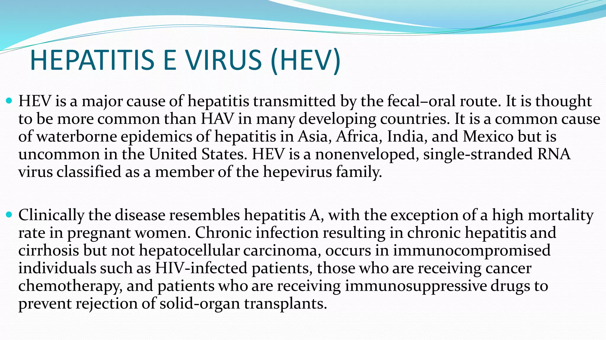Hepatitis | PPTX