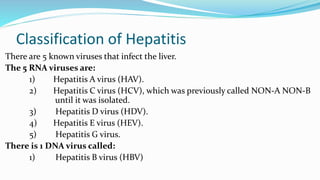 Hepatitis | PPT