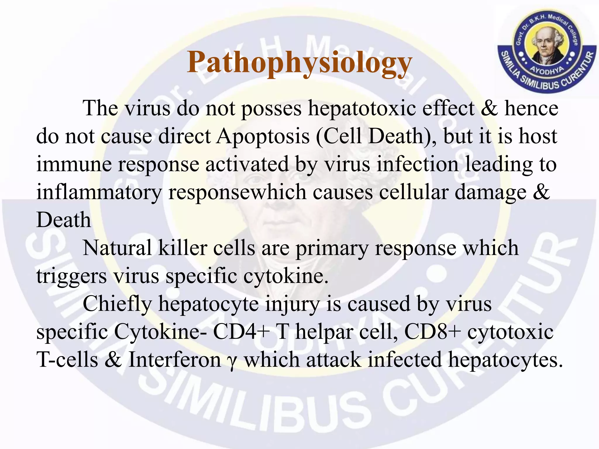 Hepatitis Pathology | PPTX