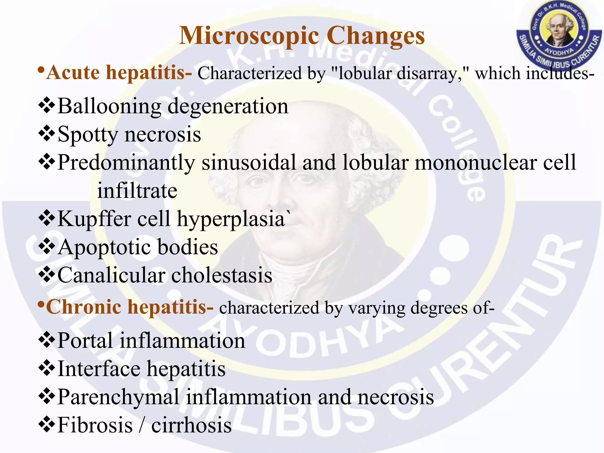 Hepatitis Pathology | PPTX