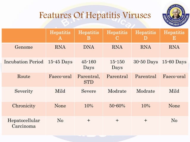 Hepatitis Pathology | PPTX