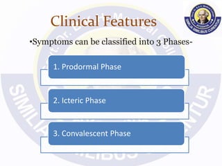Hepatitis Pathology | PPTX