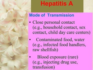 Hepatitis | PPT