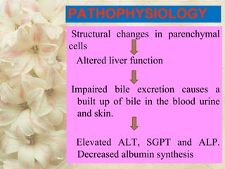 Hepatitis | PPT