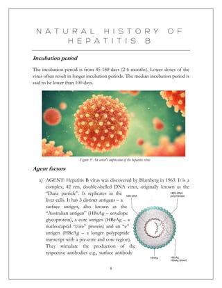 Hepatitis-B: A Case Study | PDF